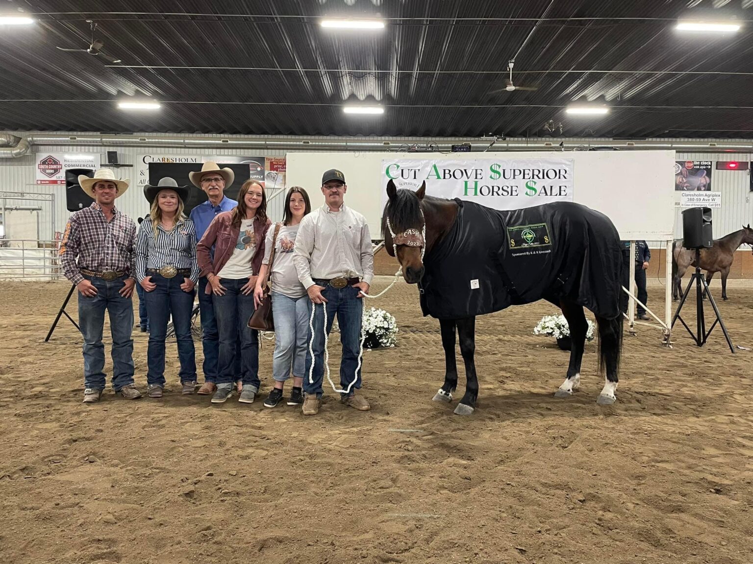 2023 Horse Sale – CASH$ Horse Sale